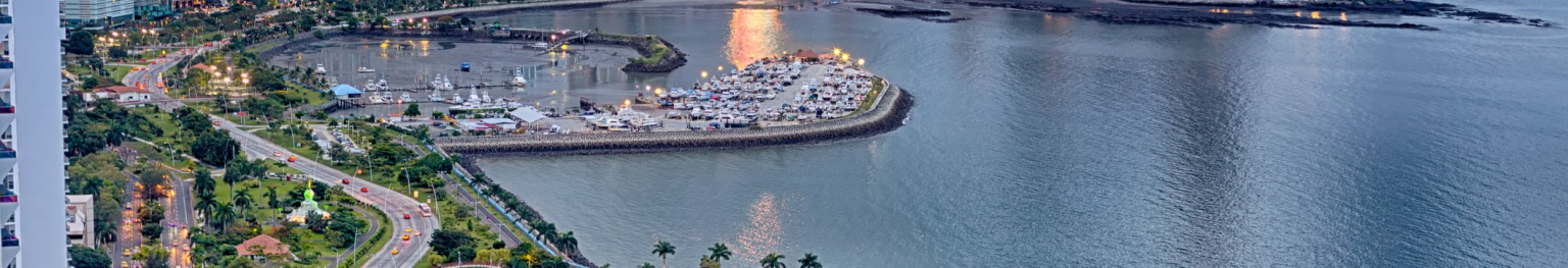 FUNCIONES Y REQUISITOS DEL AGENTE RESIDENTE EN PANAMÁ - Benavides ...